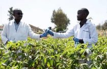 University of Ghana (Legon) Closing Date For 2025/2026 Admission Forms